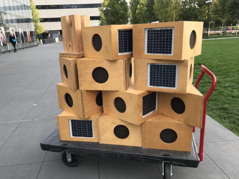 Sun Boxes – Craig Colorusso