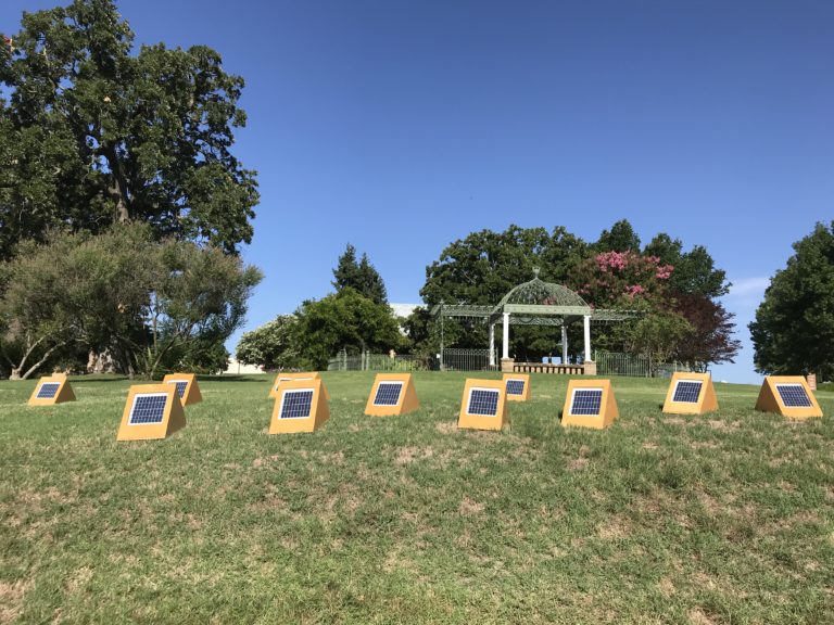 Sun Boxes – Craig Colorusso