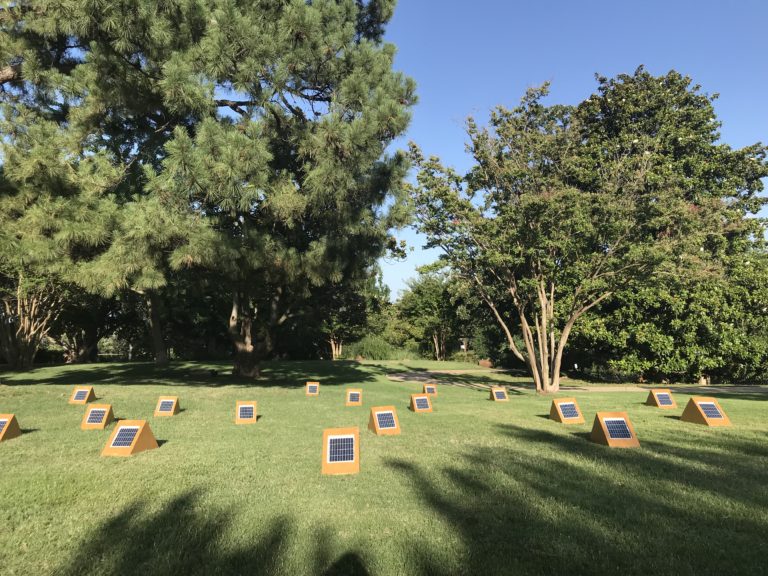 Sun Boxes – Craig Colorusso